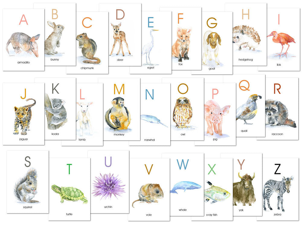 Animal Alphabet Flash Cards – Susan Windsor