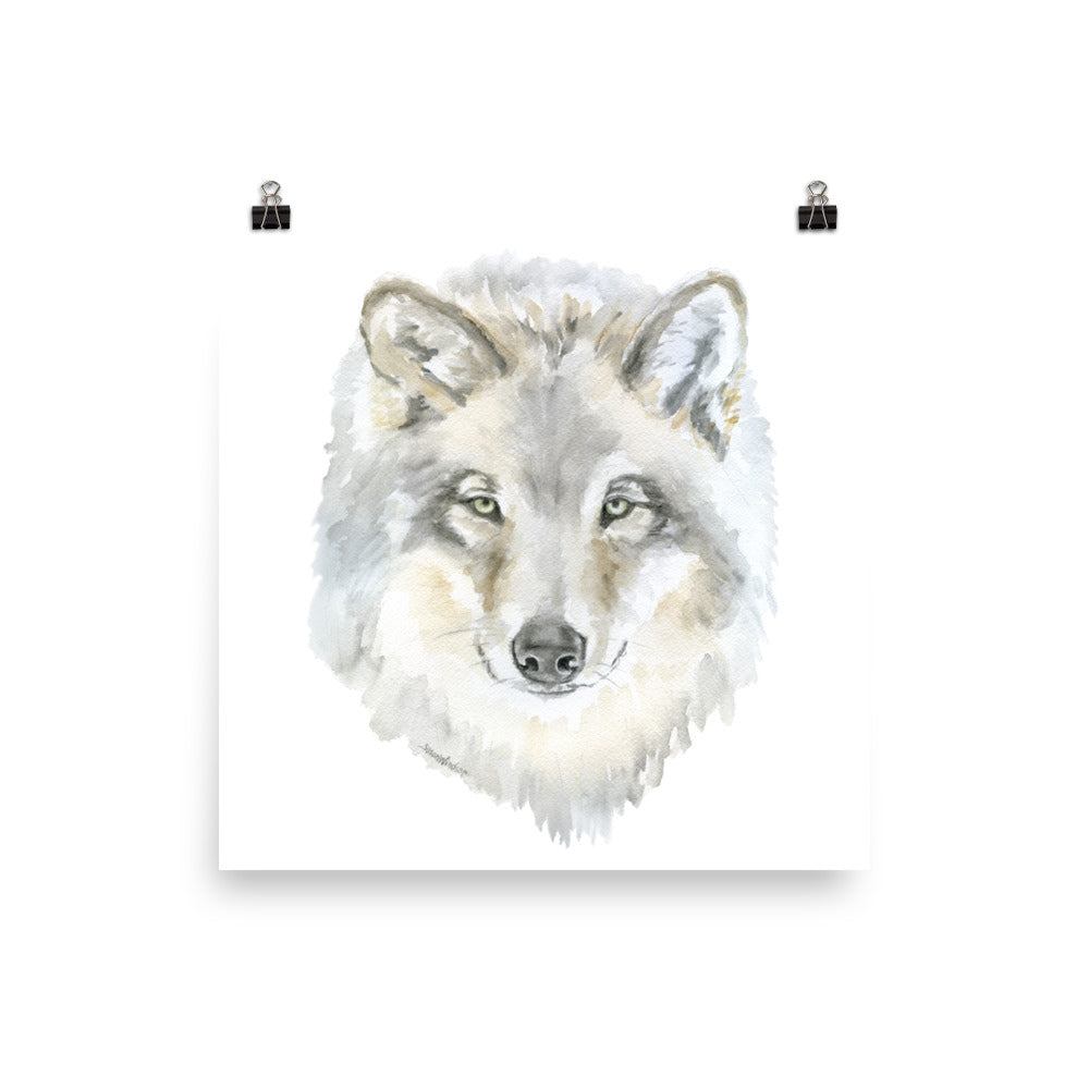Gray Wolf Watercolor – Susan Windsor