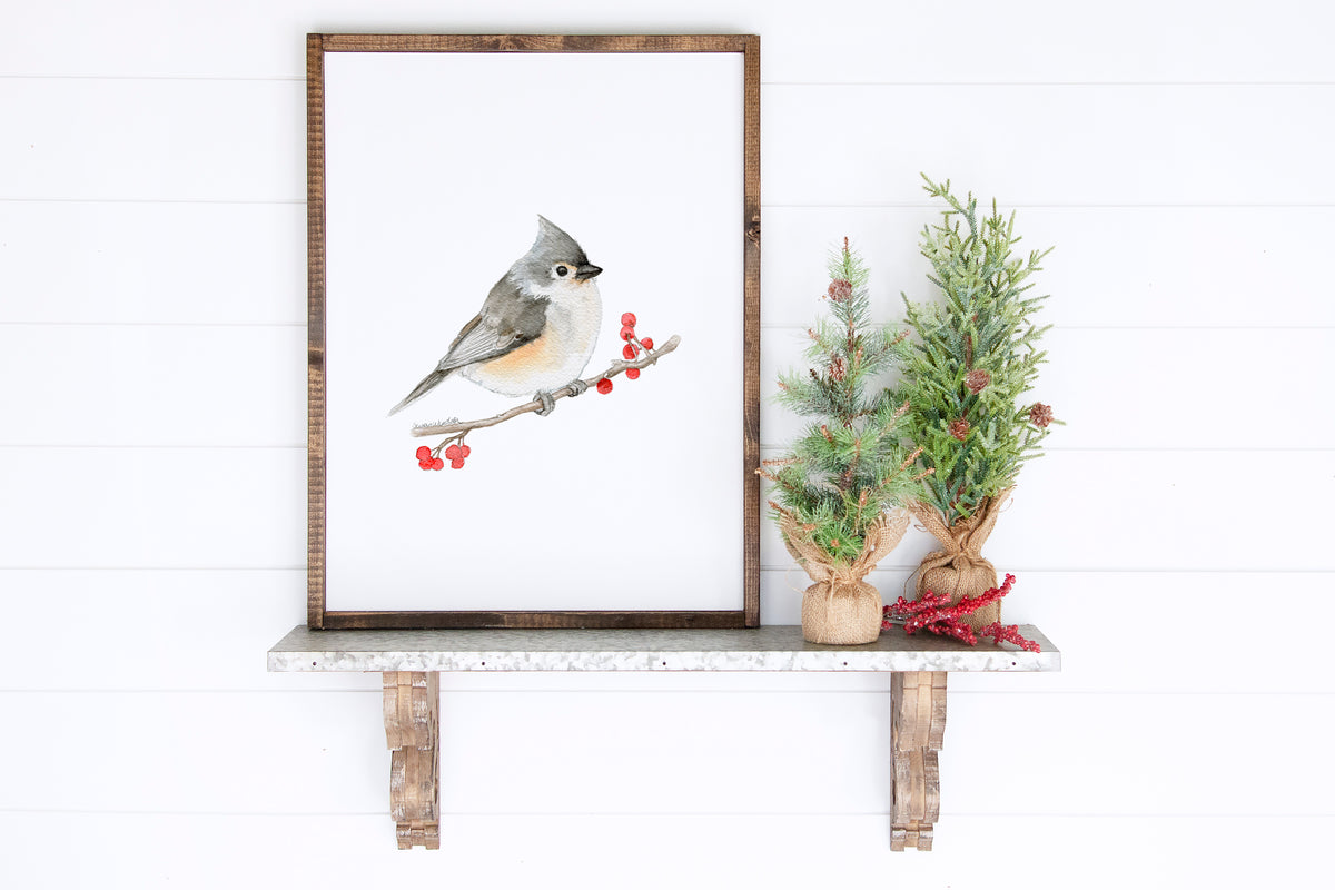 Tufted Titmouse Bird Watercolor Art Print – Susan Windsor