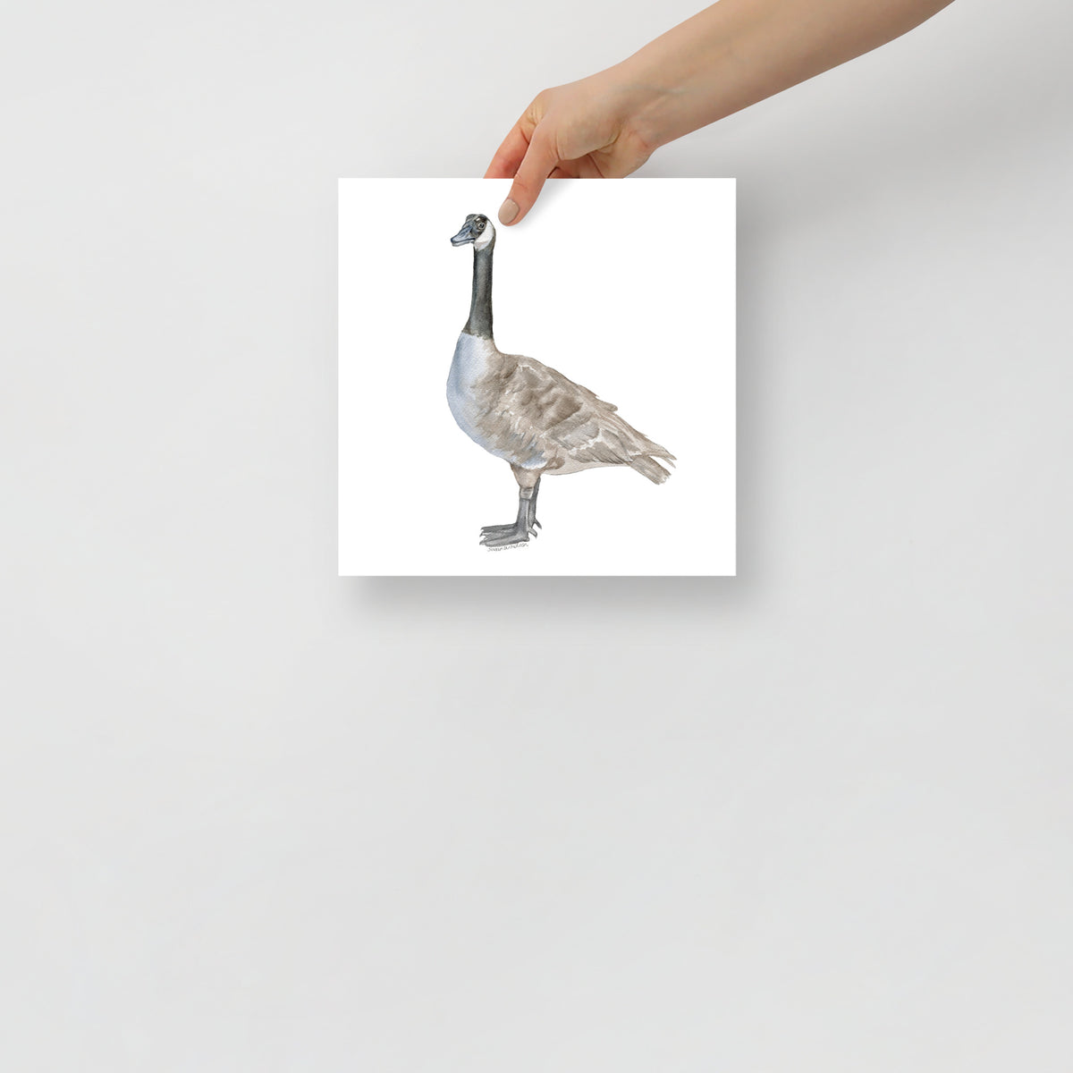 Canadian Goose Watercolor – Susan Windsor