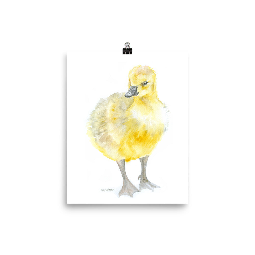 Gosling Watercolor – Susan Windsor