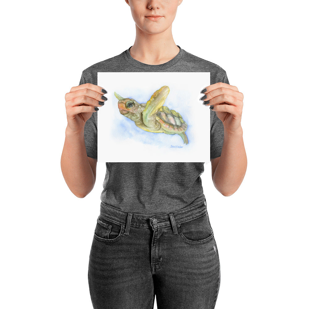 Sea Turtle Watercolor – Susan Windsor