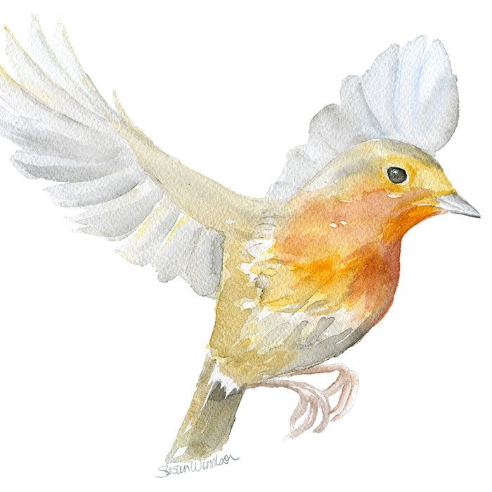 Robin In Flight Drawing